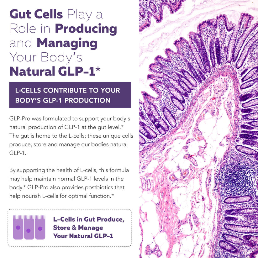 GLP-Pro | GLP-1 Probiotic & Postbiotic* – Triquetra™