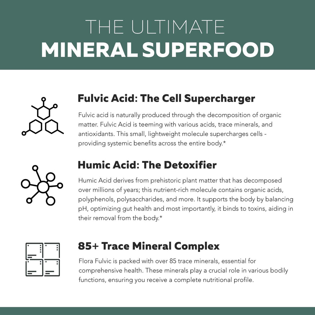 Flora Fulvic Liquid | Fulvic Acid + Humic Acid Complex – Triquetra™