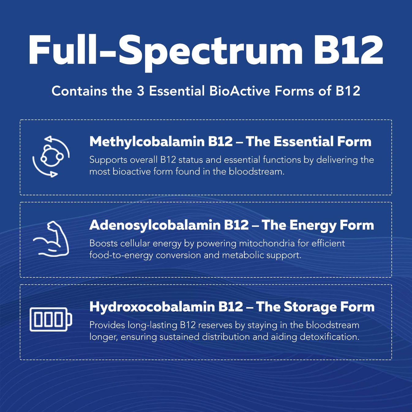 BioActive Vitamin B Complex – Triquetra™
