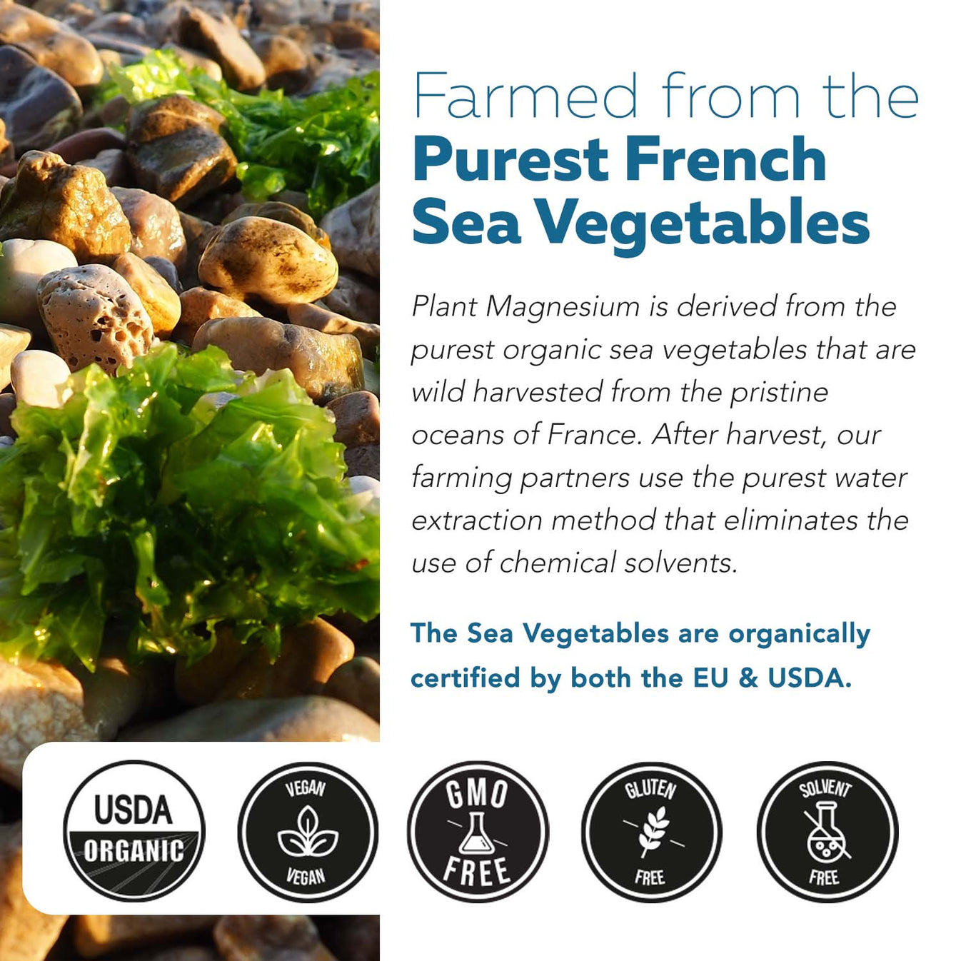 Plant Magnesium: Organic, Whole Food Magnesium Supplement – Triquetra™