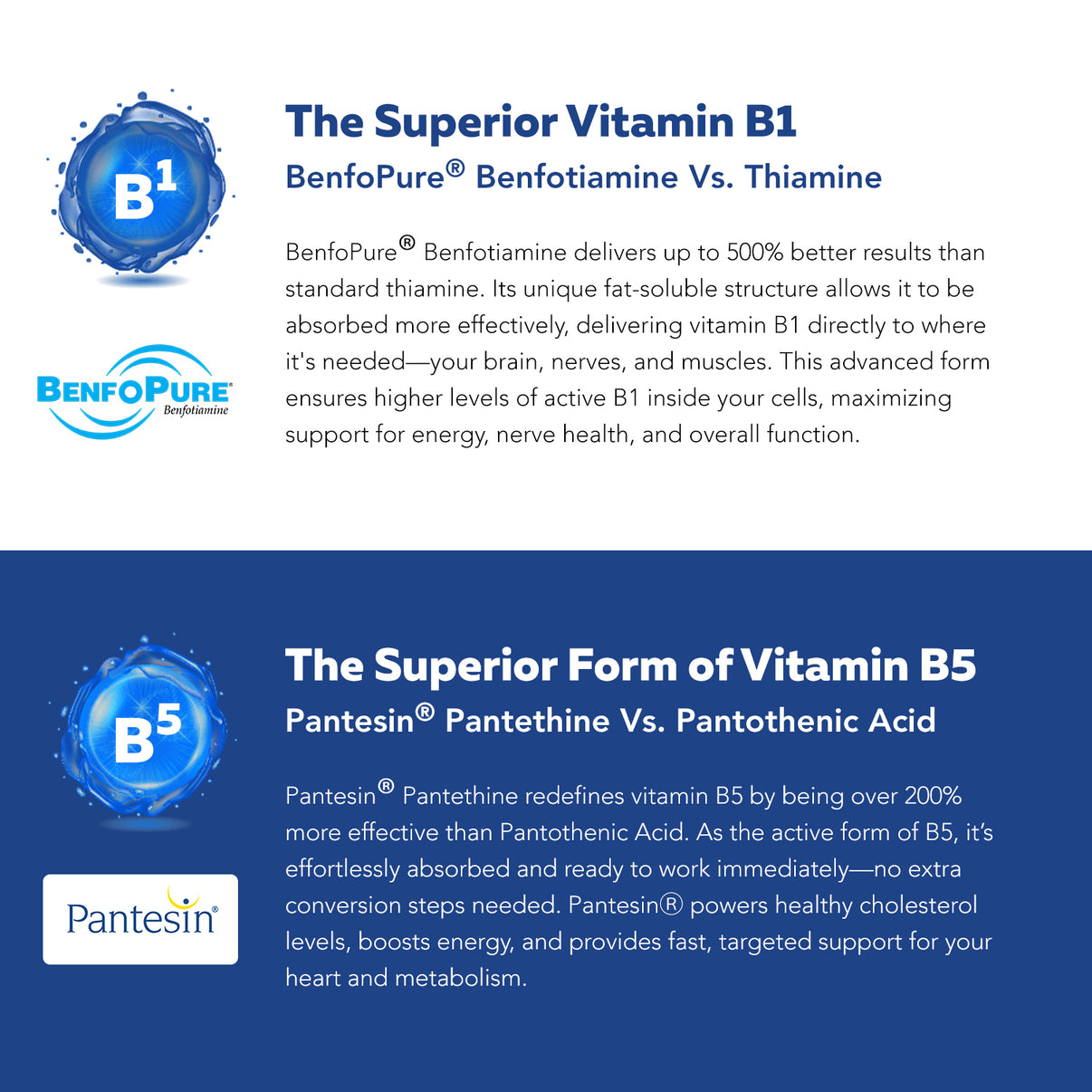 BioActive Vitamin B Complex – Triquetra™