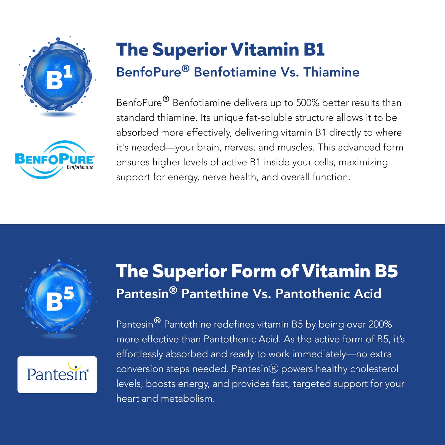 BioActive Vitamin B Complex – Triquetra™