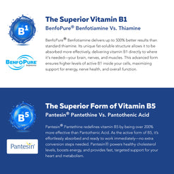 BioActive Vitamin B Complex – Triquetra™