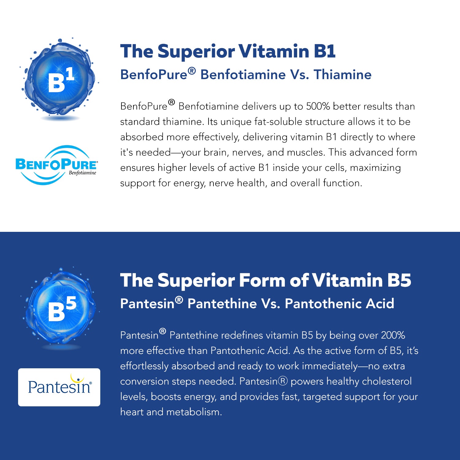 BioActive Vitamin B Complex – Triquetra™
