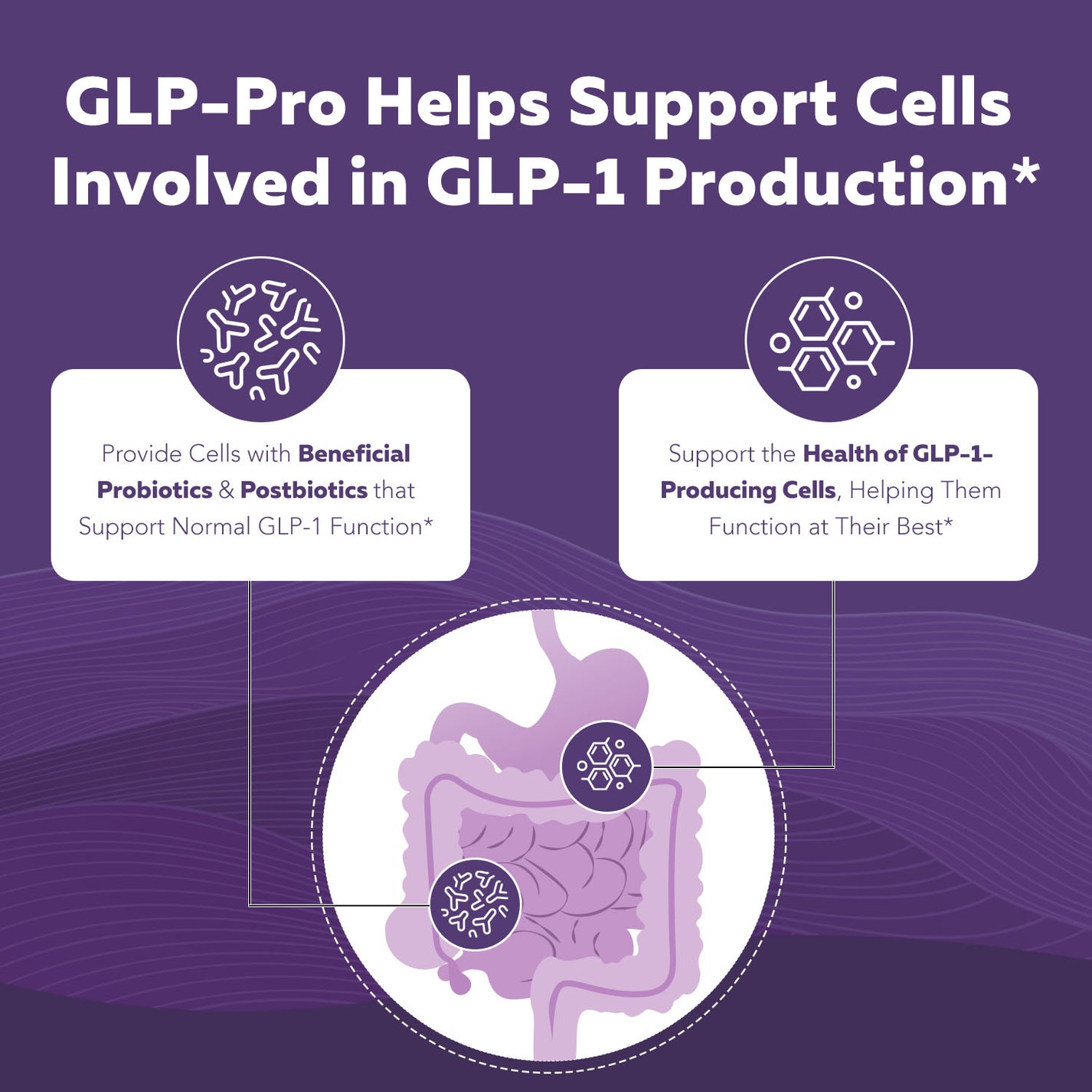 GLP-Pro | GLP-1 Probiotic & Postbiotic* – Triquetra™