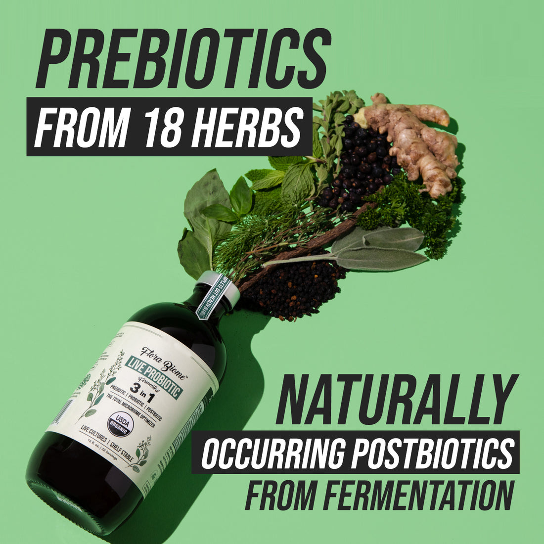Flora Biome™ Live Probiotic – Triquetra™