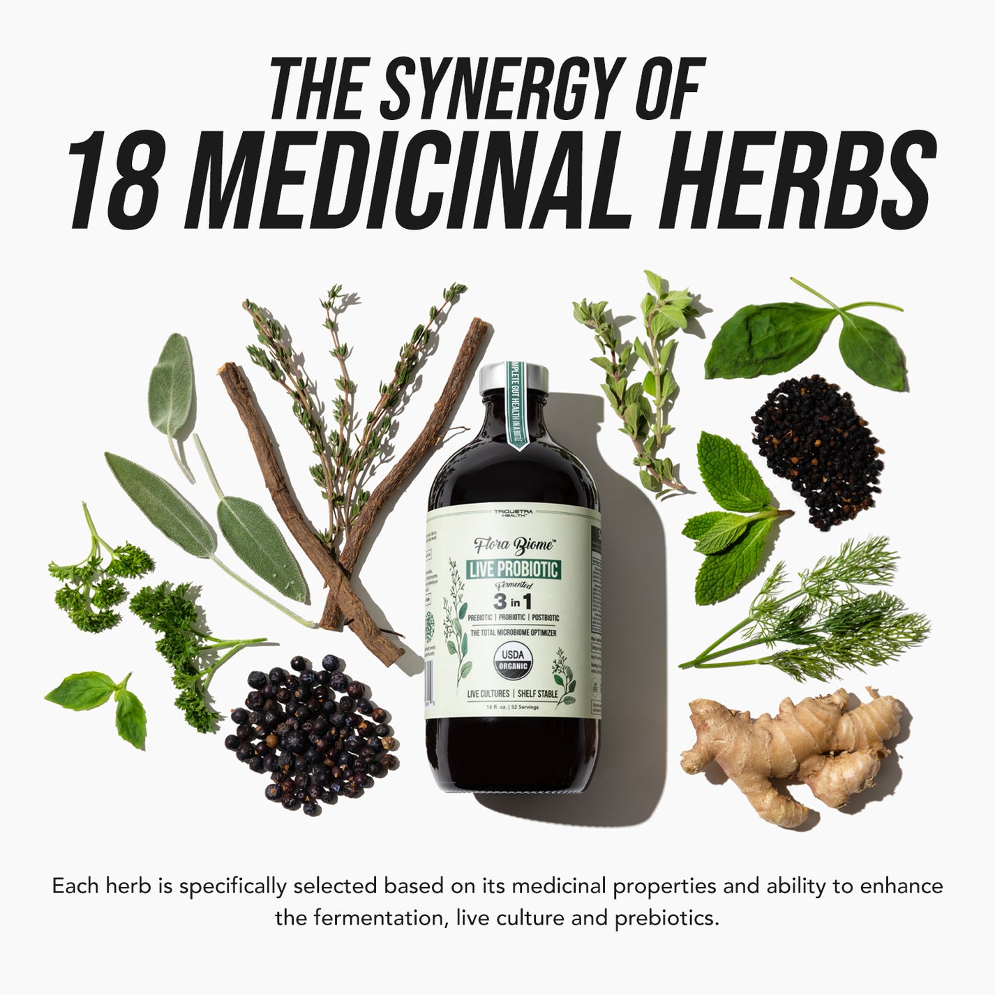 Flora Biome™ Live Probiotic – Triquetra™