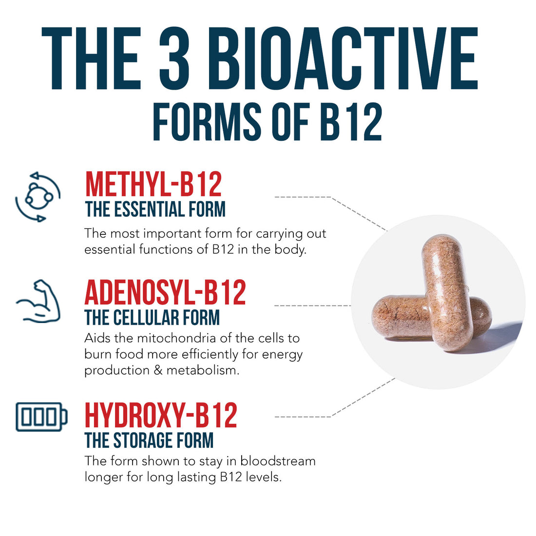 BioActive B12: Vitamin B12 Plus L-Methylfolate – Triquetra™